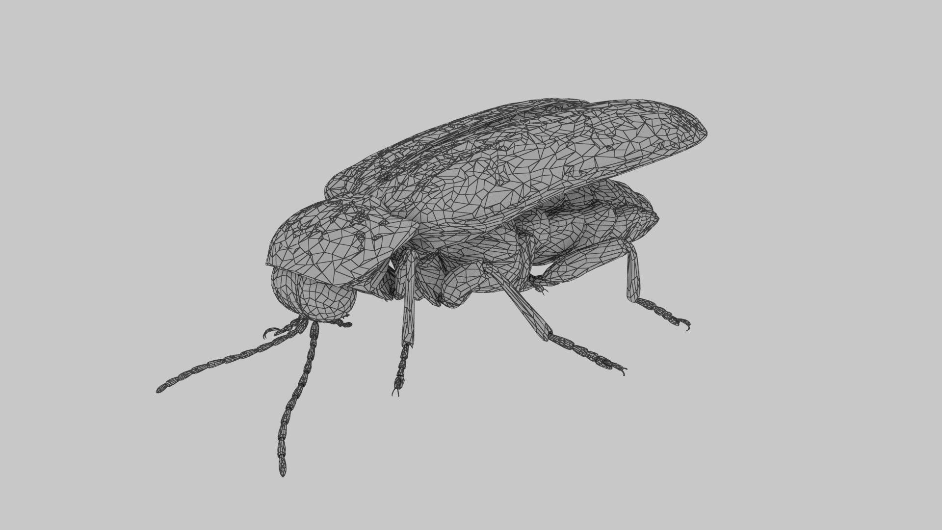 Animated Glowing FireFly Bug 3D - TurboSquid 2095861