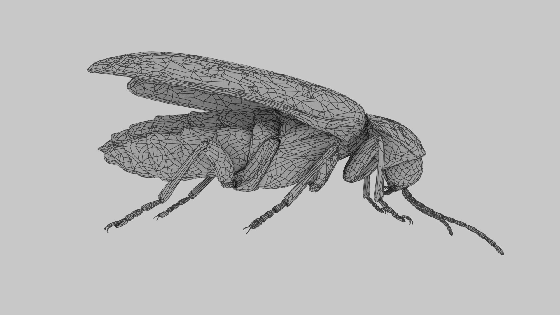 Animated Glowing FireFly Bug 3D - TurboSquid 2095861