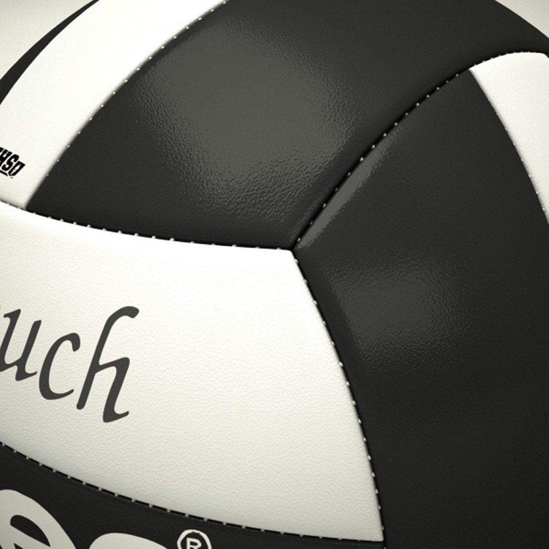 Molten Soft Touch Volleyball 3d Model