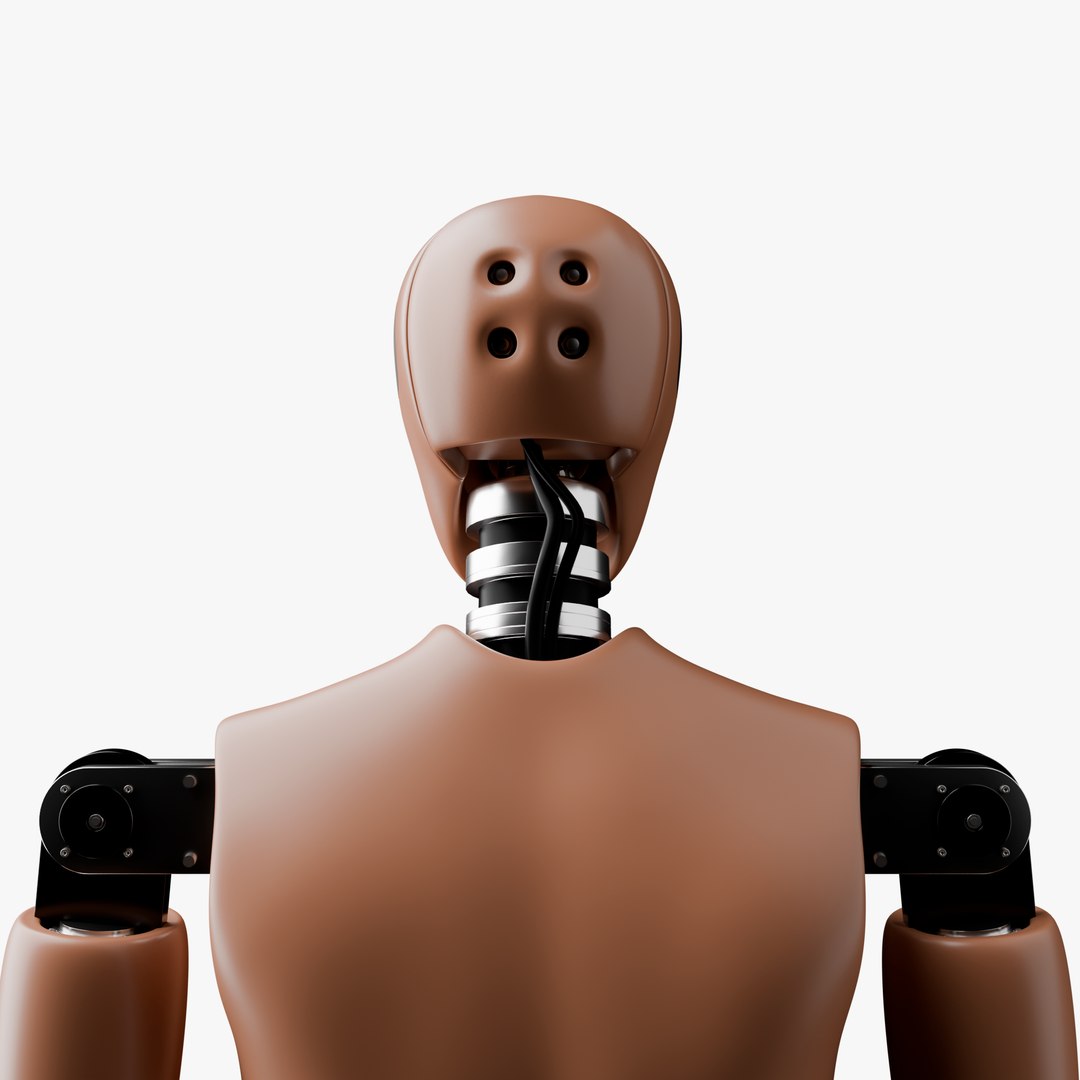 Crash Test Male Dummy 3D Model - TurboSquid 2159635