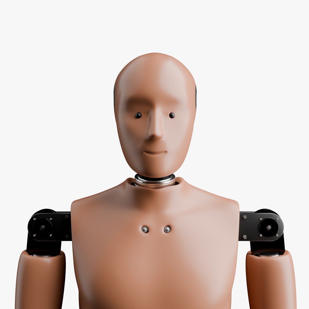 Crash Test Male Dummy 3D Model - TurboSquid 2159635