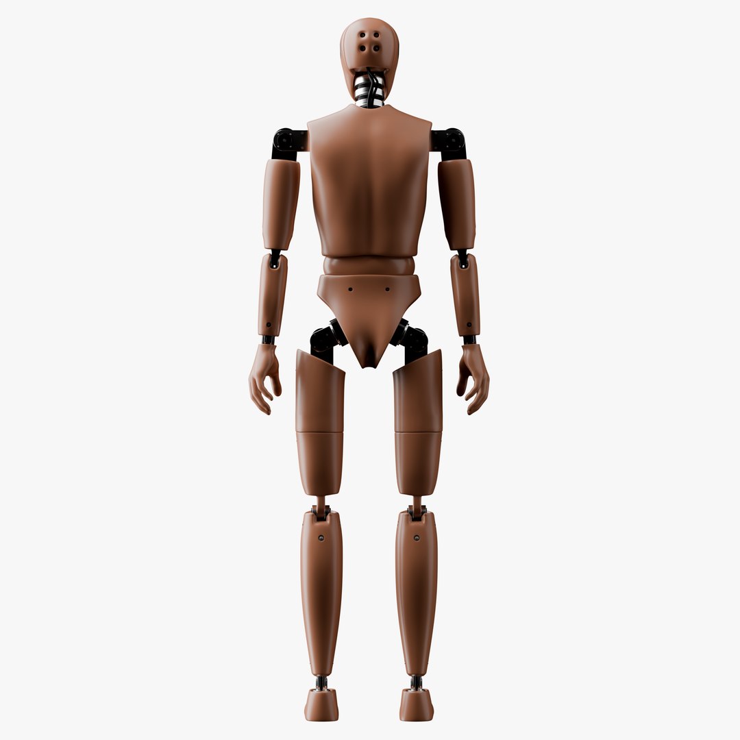 Crash Test Male Dummy 3D Model - TurboSquid 2159635