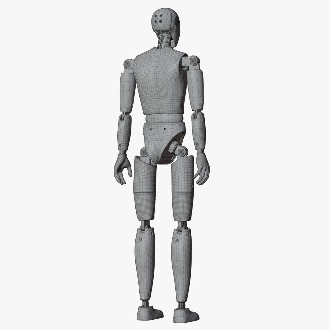 Crash Test Male Dummy 3D Model - TurboSquid 2159635