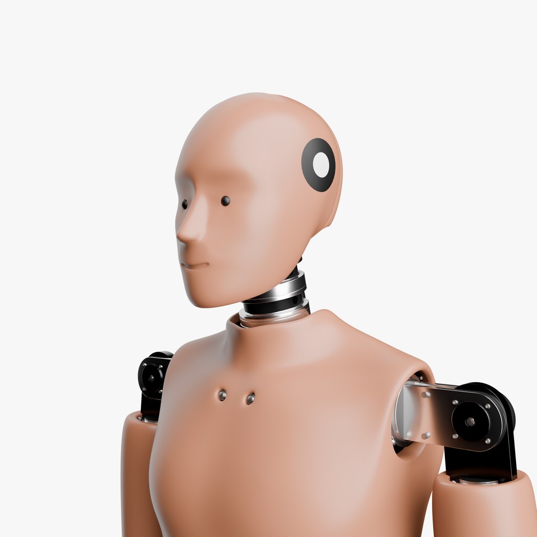 Crash Test Male Dummy 3D Model - TurboSquid 2159635
