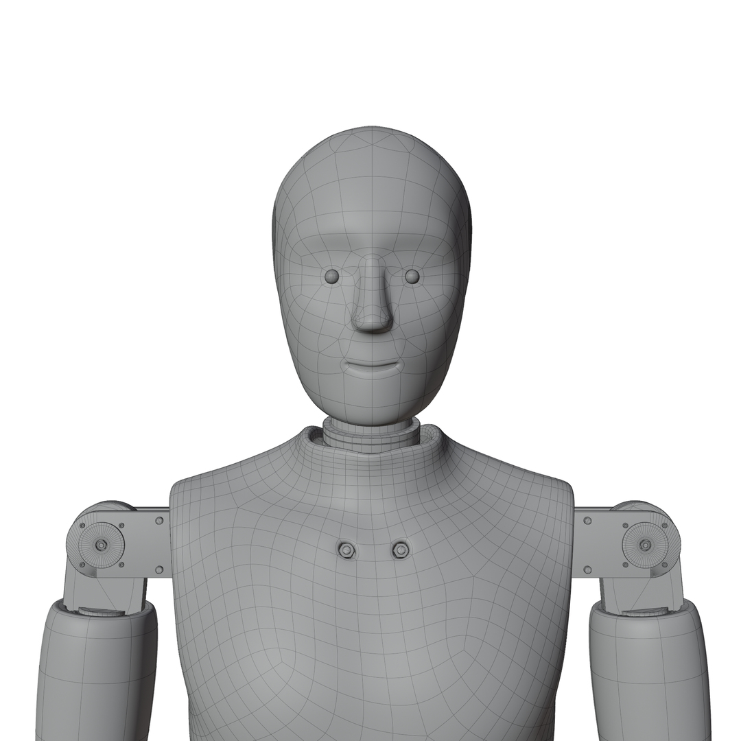Crash Test Male Dummy 3D Model - TurboSquid 2159635