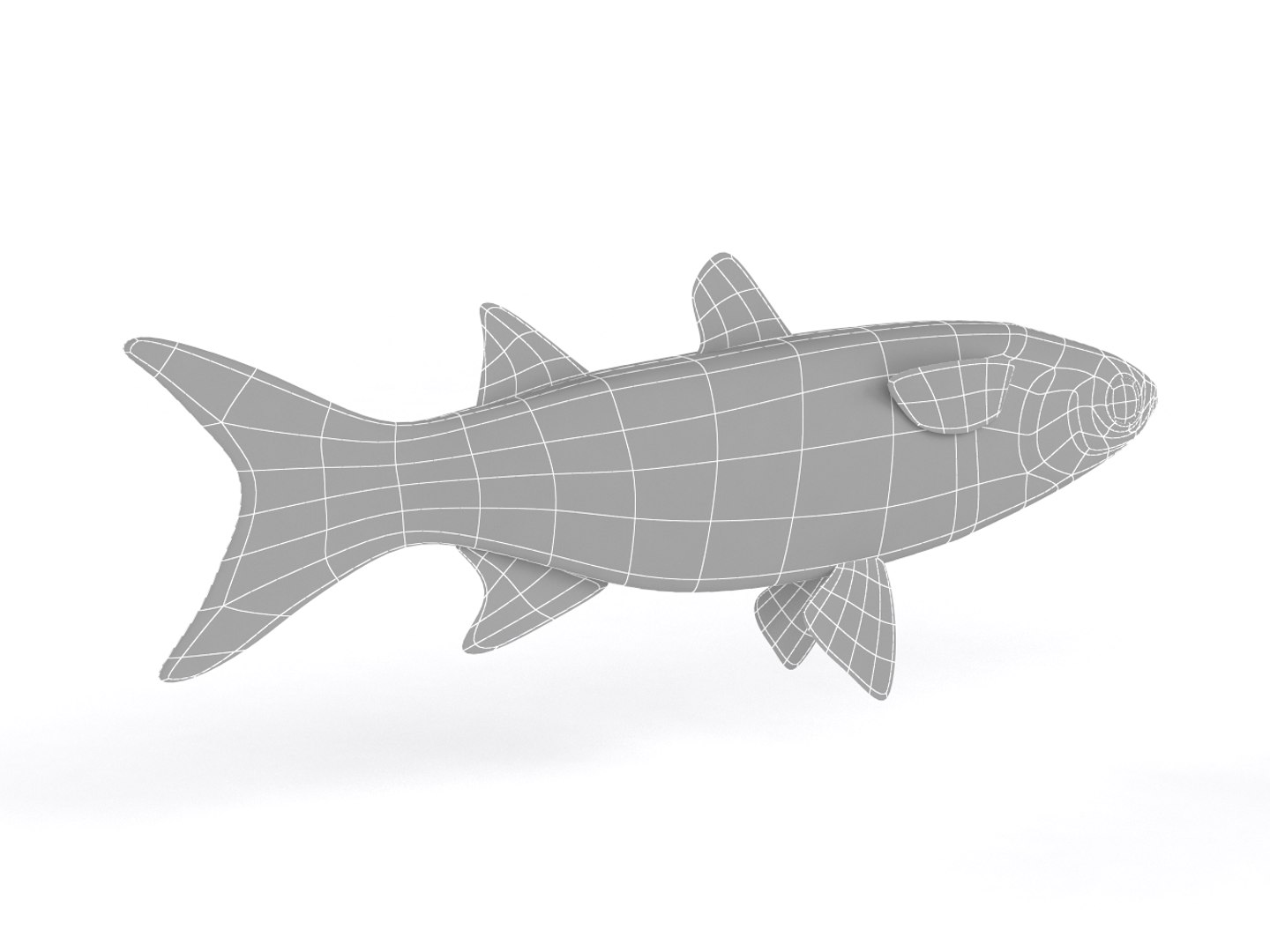 Fish Mullet 3D - TurboSquid 1640507