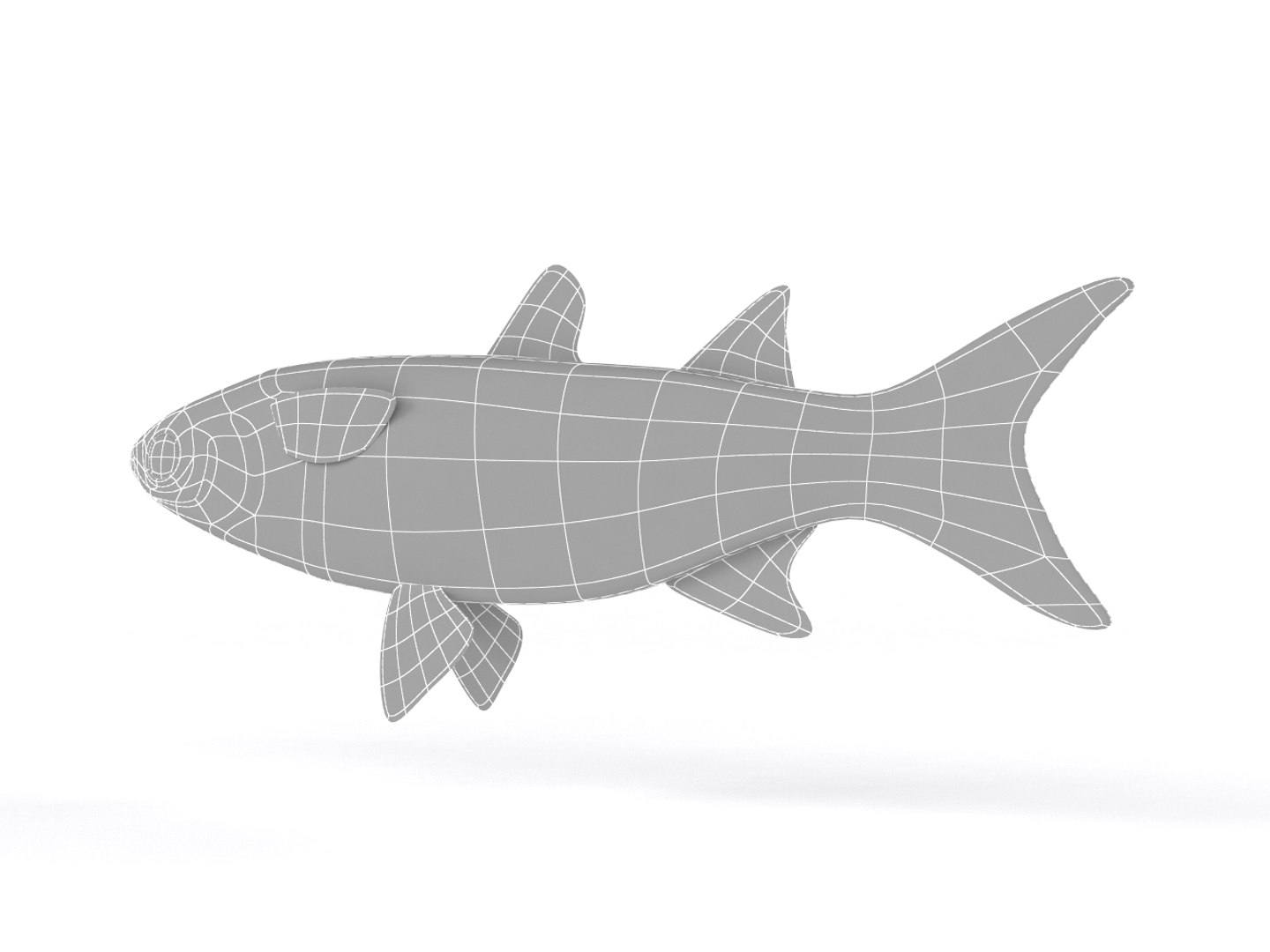 Fish Mullet 3D - TurboSquid 1640507