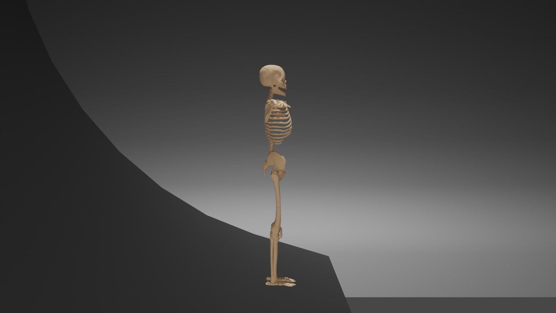 3D Character Skeleton - Rigged - Textured - TurboSquid 2275613