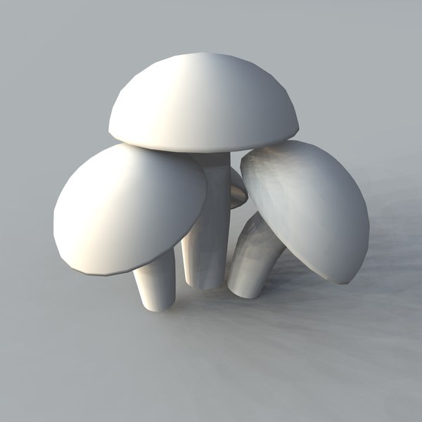 fungi fungas mushrooms 3d model