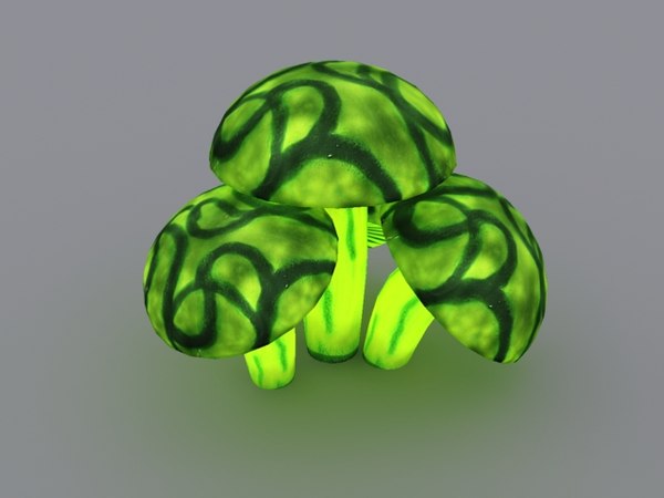 fungi fungas mushrooms 3d model