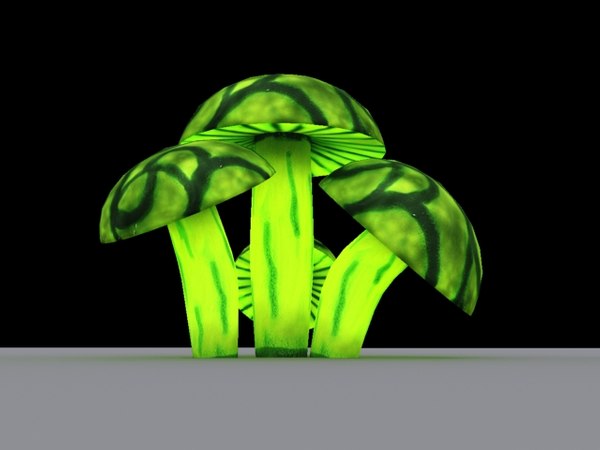 fungi fungas mushrooms 3d model