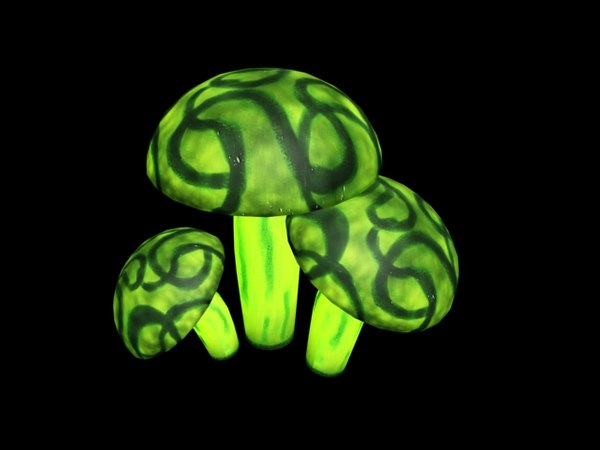fungi fungas mushrooms 3d model