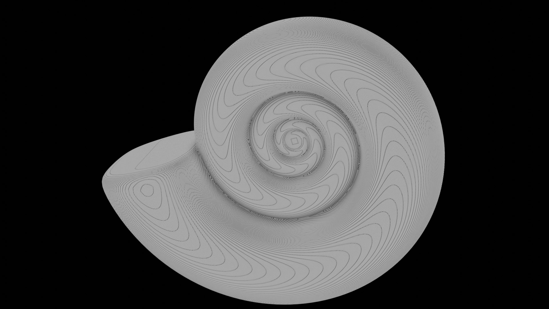 3D Ammonoid Shell Virtual Model Of Eocanites - TurboSquid 2323942