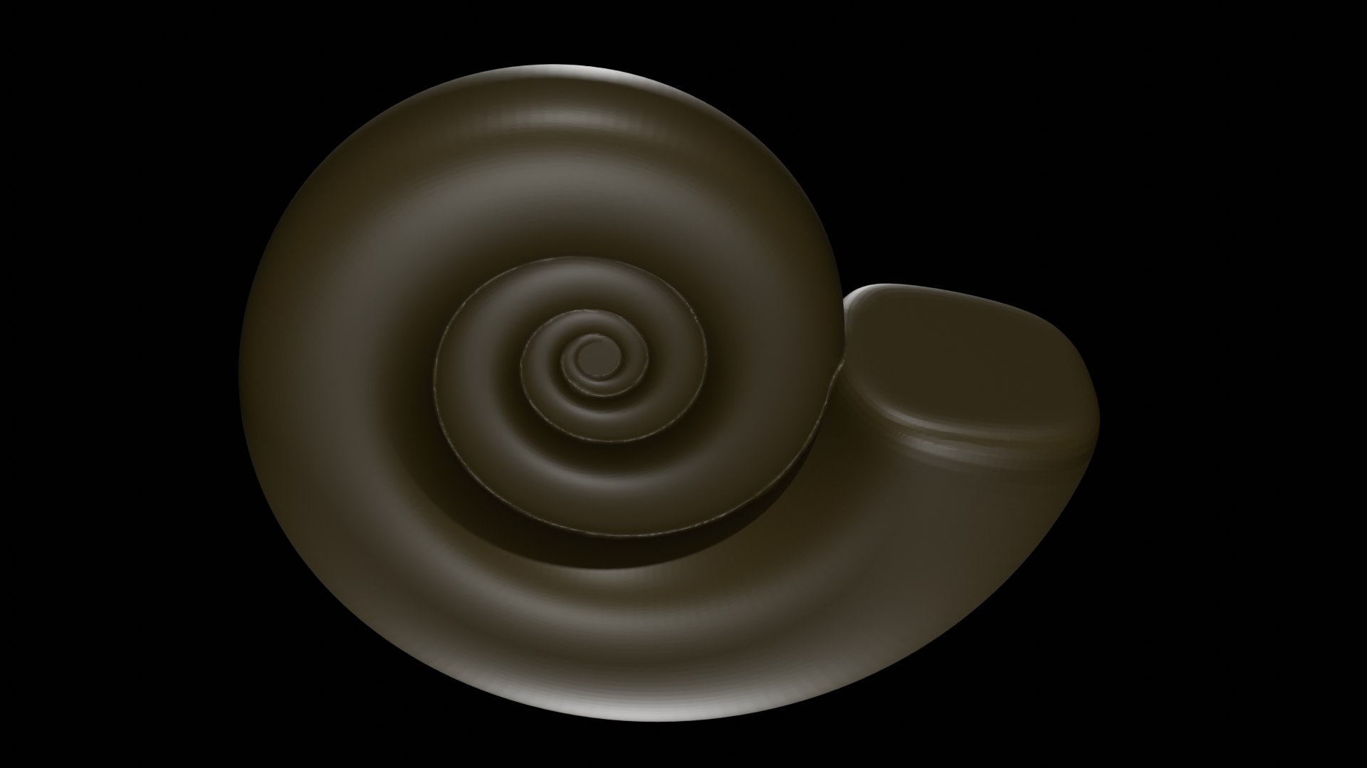3D Ammonoid Shell Virtual Model Of Eocanites - TurboSquid 2323942