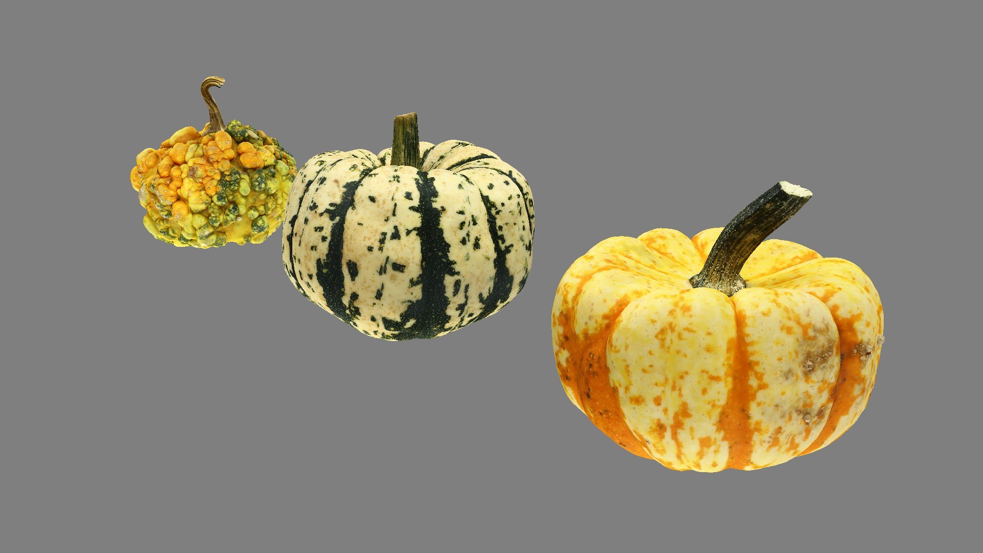 3D Fancy Pumpkins 1 - TurboSquid 1978930