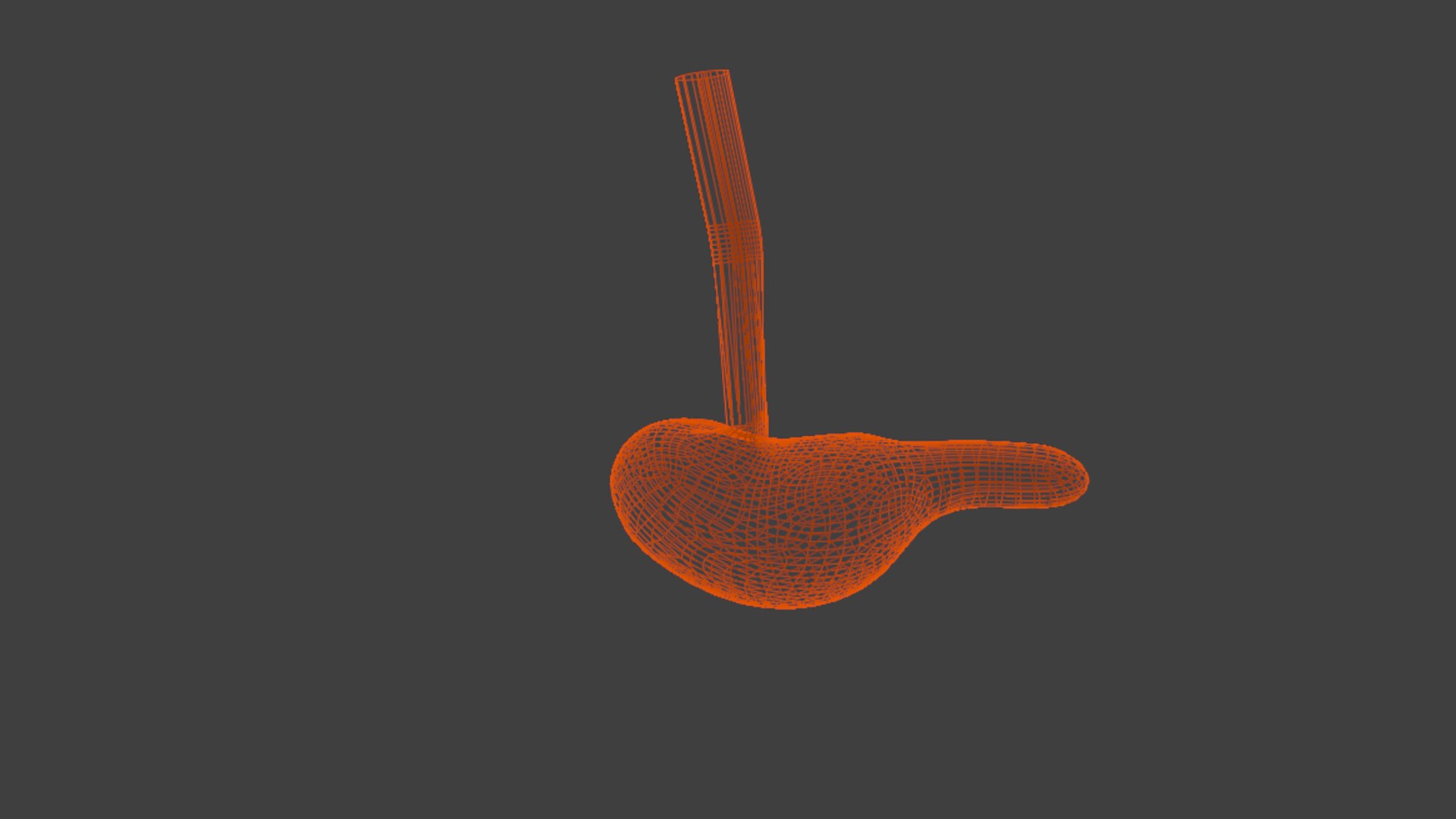 Human Stomach Model - TurboSquid 2191865