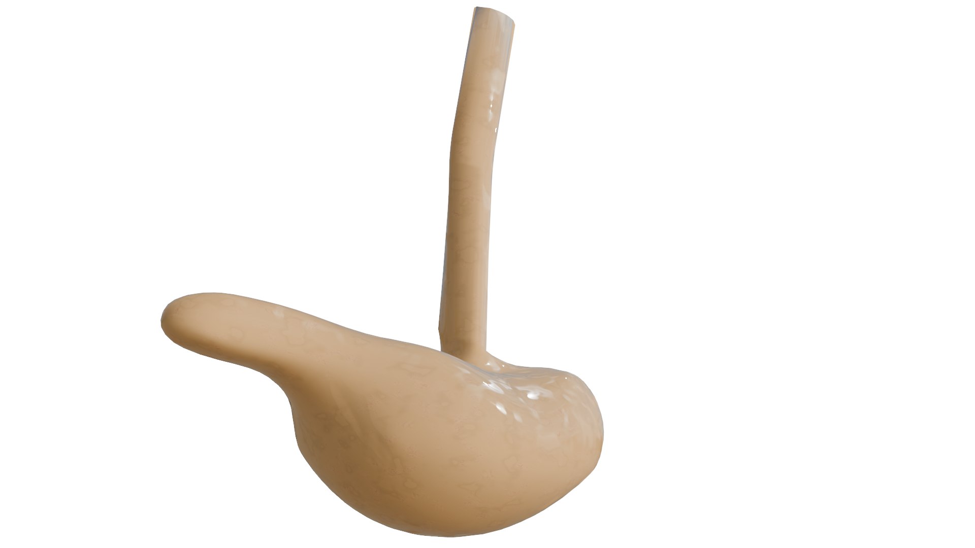 Human Stomach Model - TurboSquid 2191865