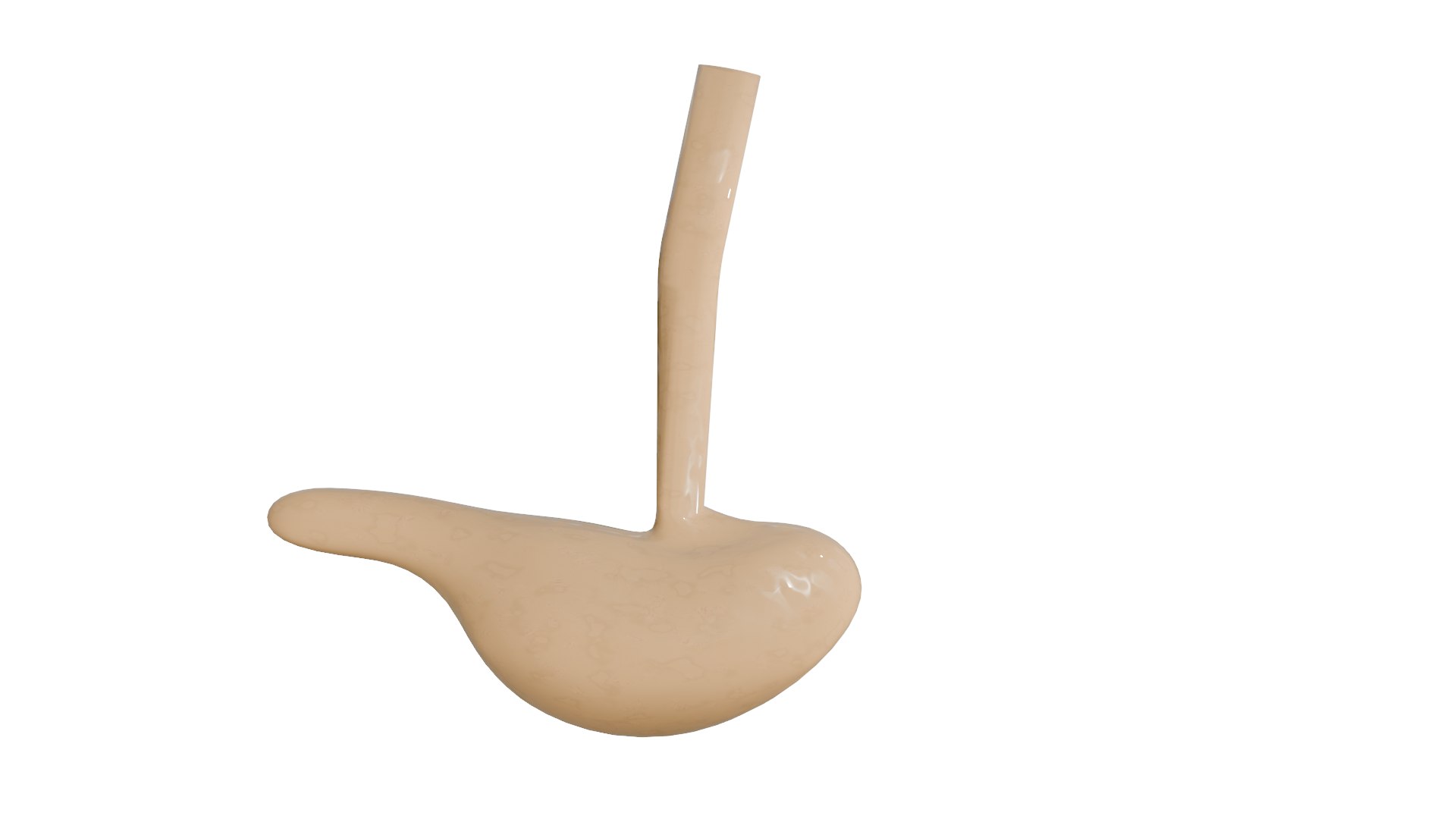 Human Stomach Model - TurboSquid 2191865