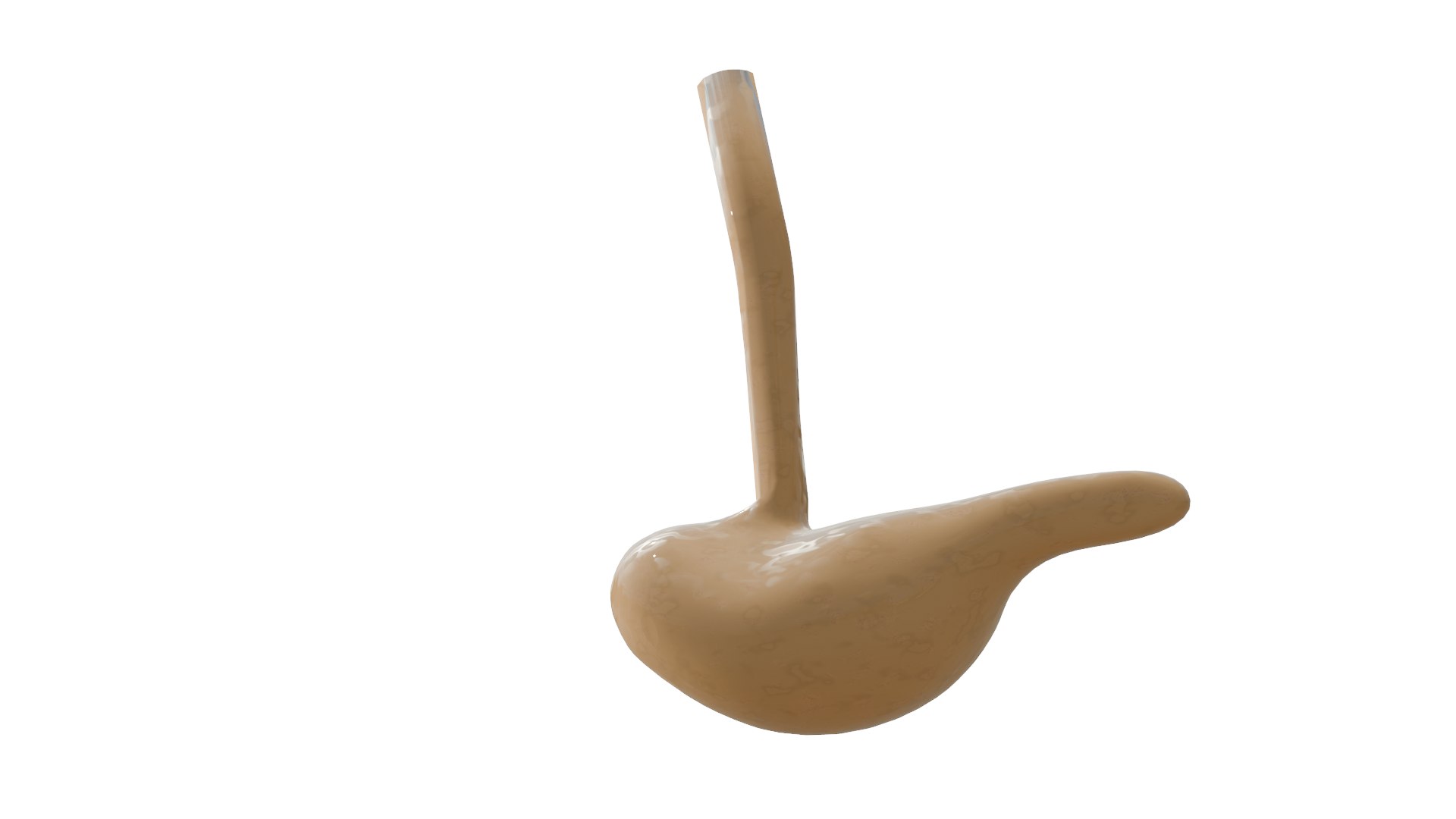 Human Stomach Model - TurboSquid 2191865