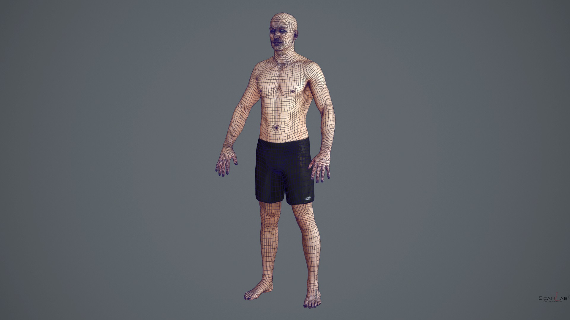 fbx male body scan