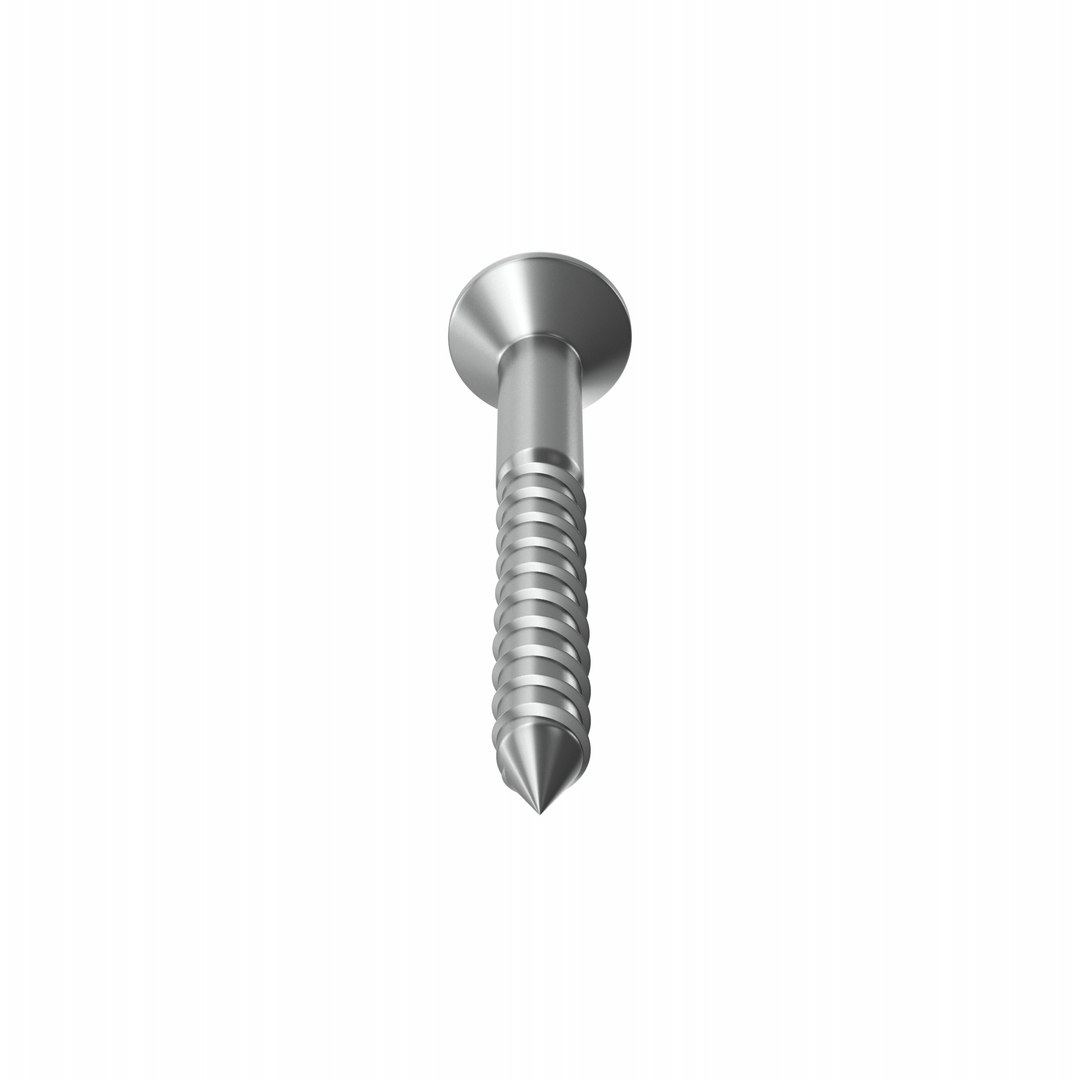 3D Star Head Screw Model - TurboSquid 1972747
