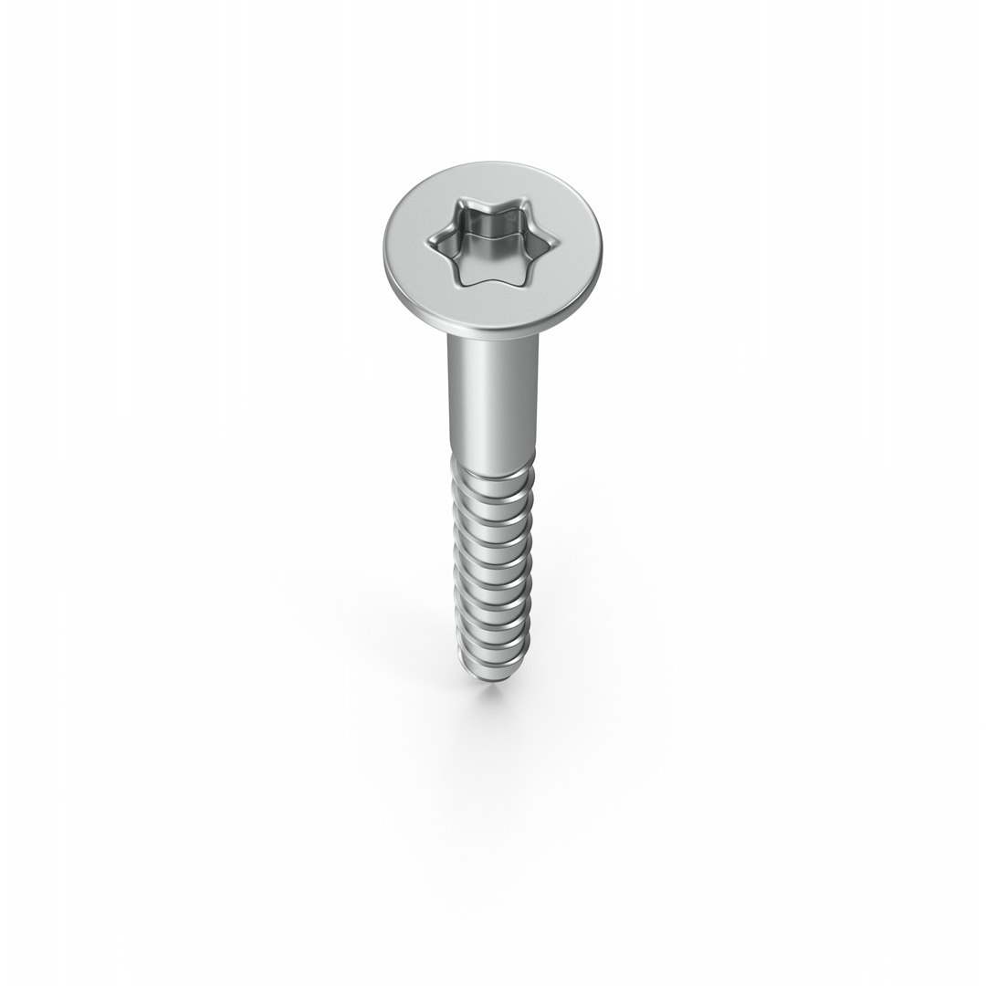 3D Star Head Screw Model - TurboSquid 1972747
