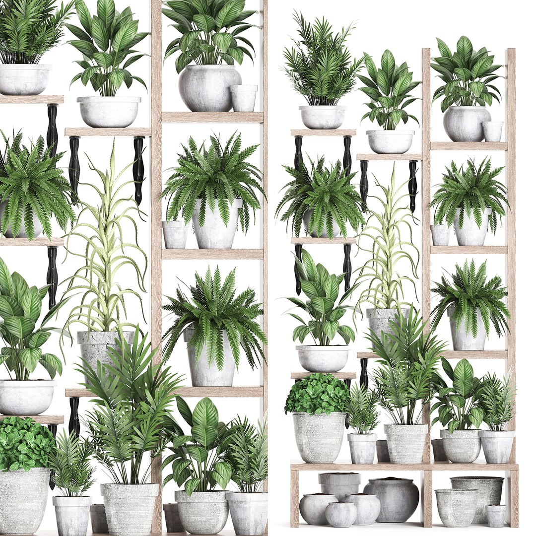 3D vertical garden plants - TurboSquid 1435842