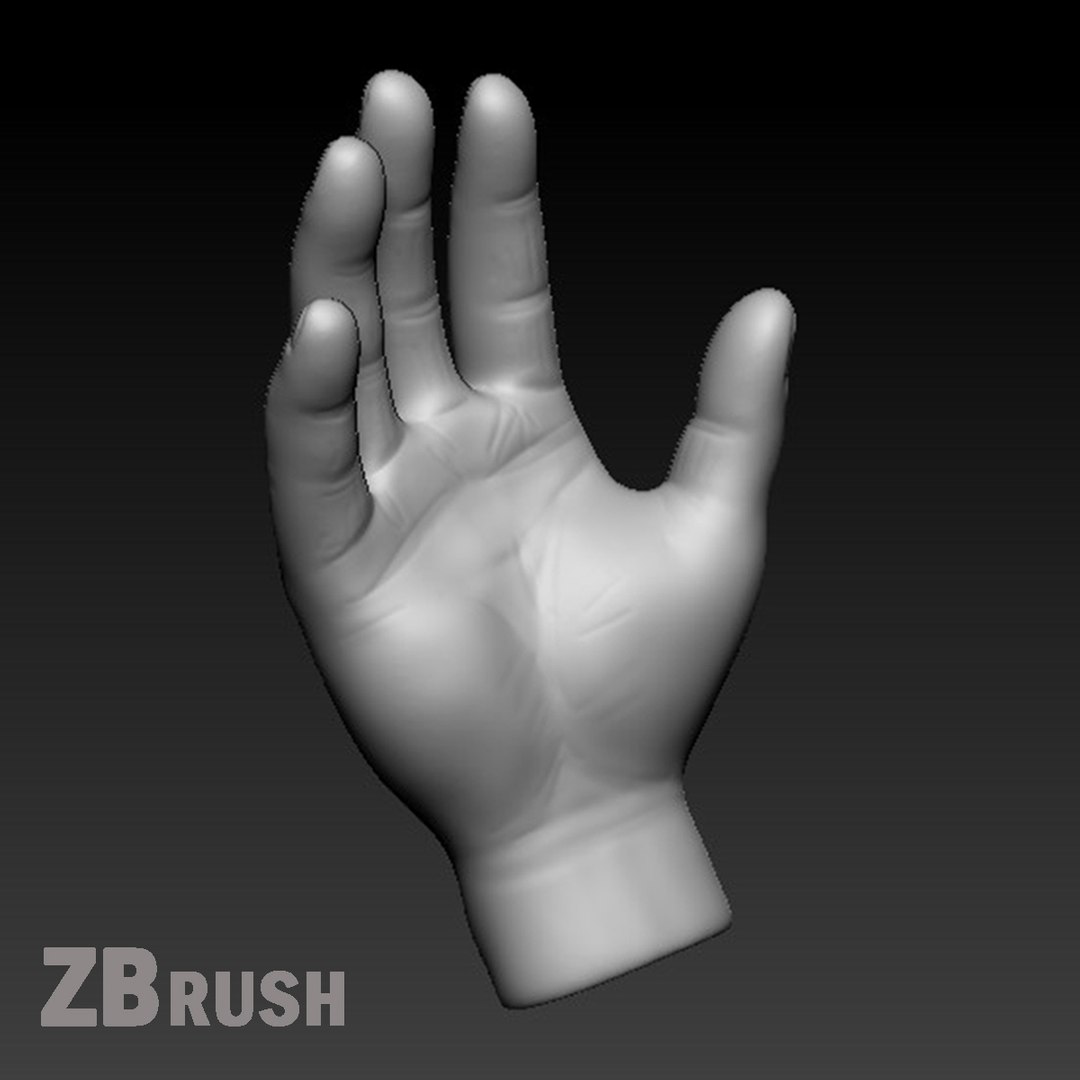 Hands Rig Animations 3D Model - TurboSquid 1451551