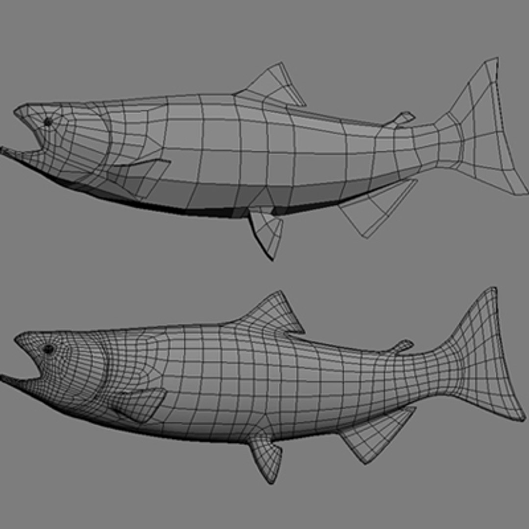 King Salmon 3d Model