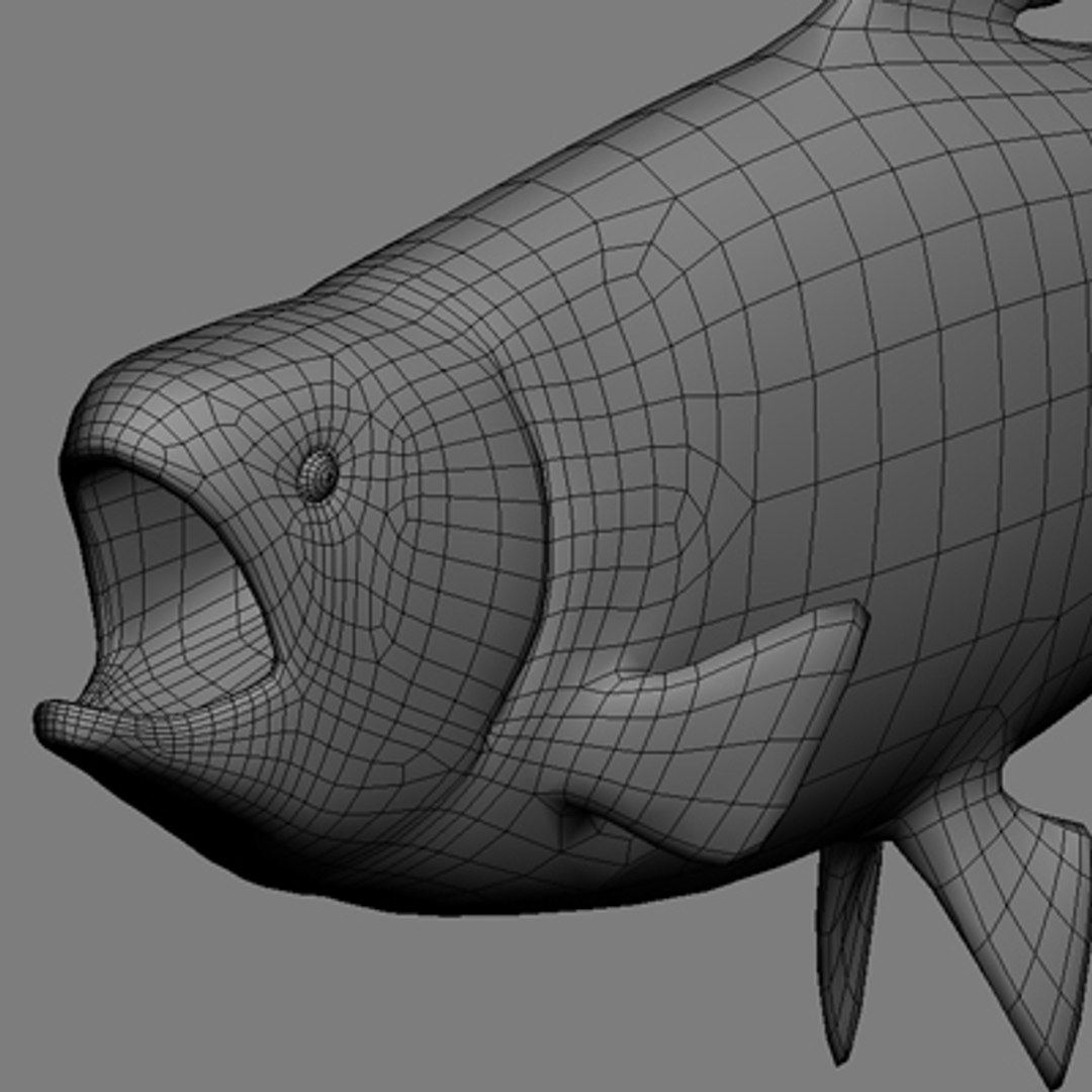 King Salmon 3d Model