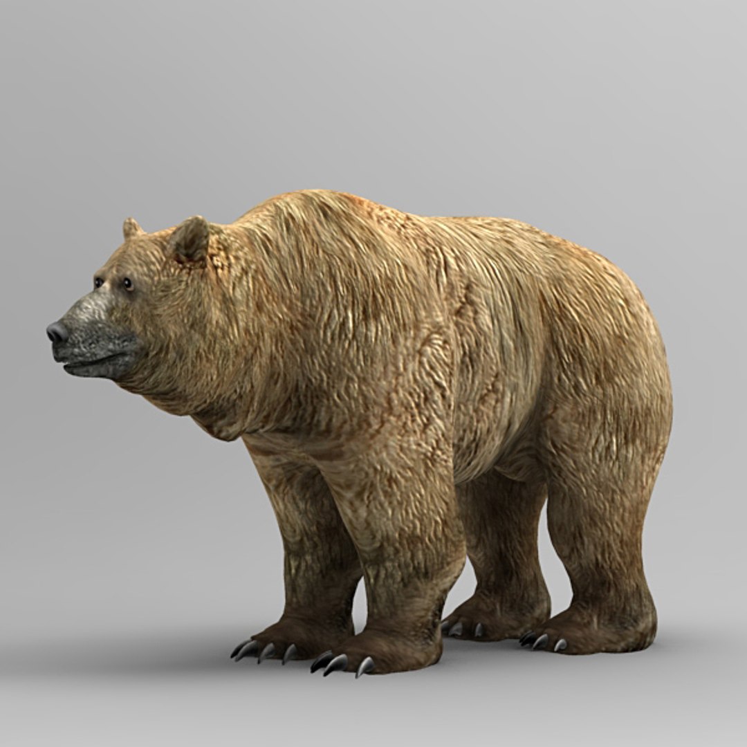 3ds Max Animation Bear Pack