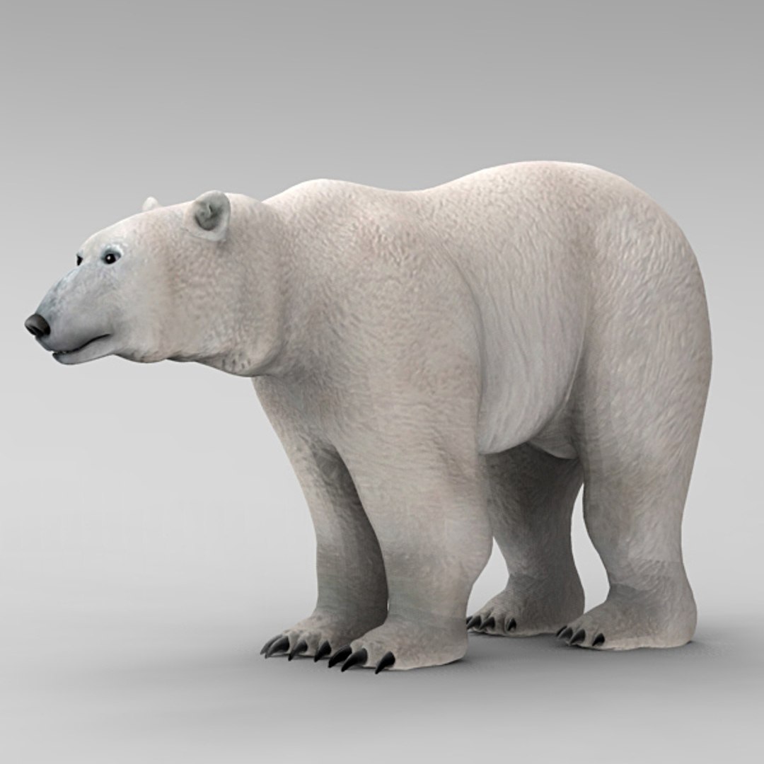 3ds Max Animation Bear Pack