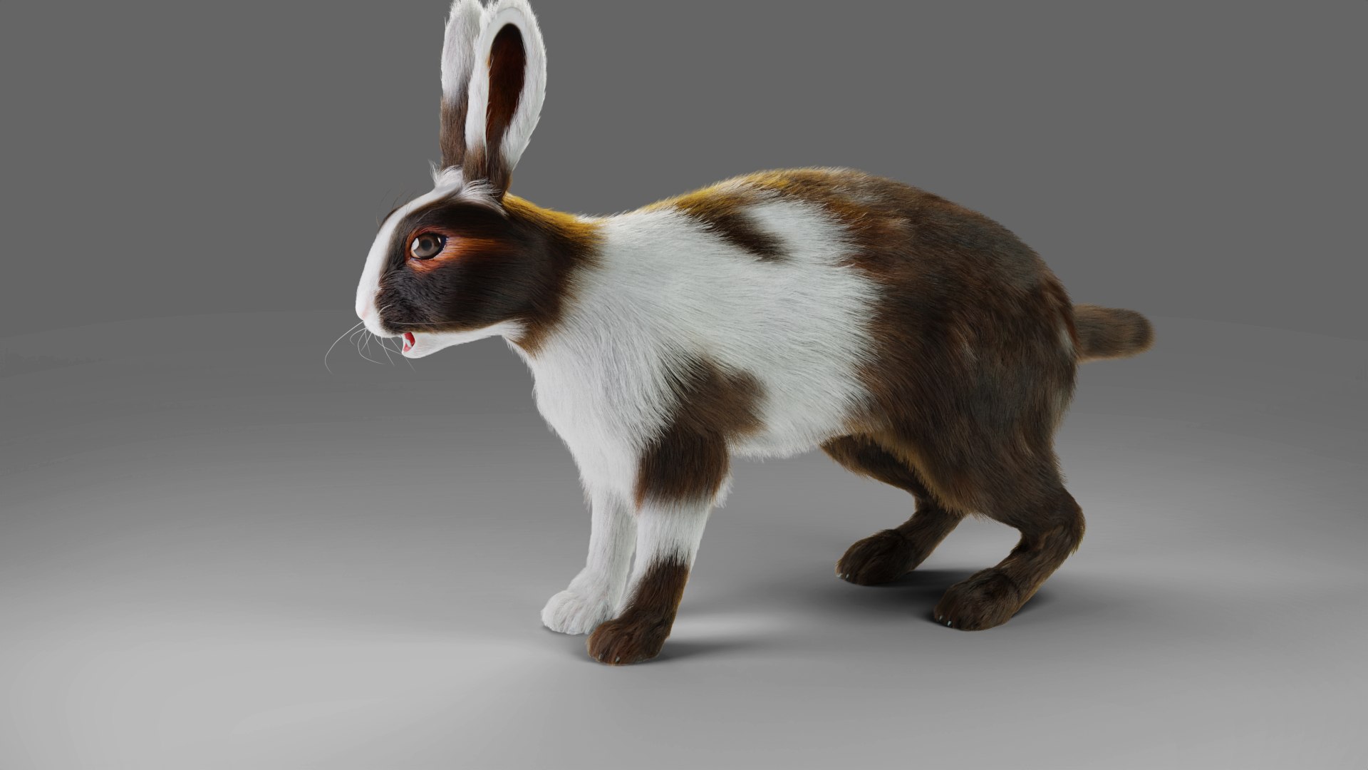 3D Fur Rabbit Gray V04 Rigged - TurboSquid 1931627