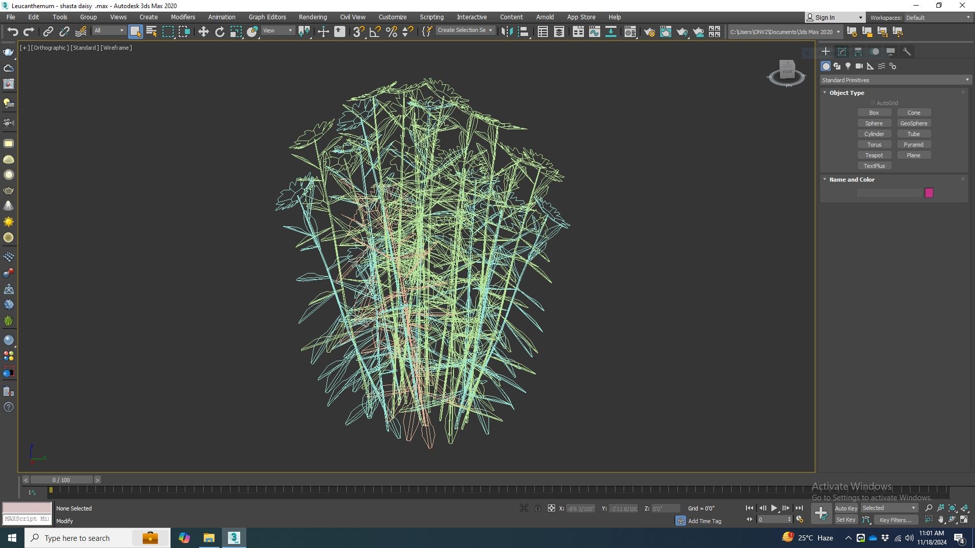 3D Leucanthemum - Shasta Daisy - TurboSquid 2310879