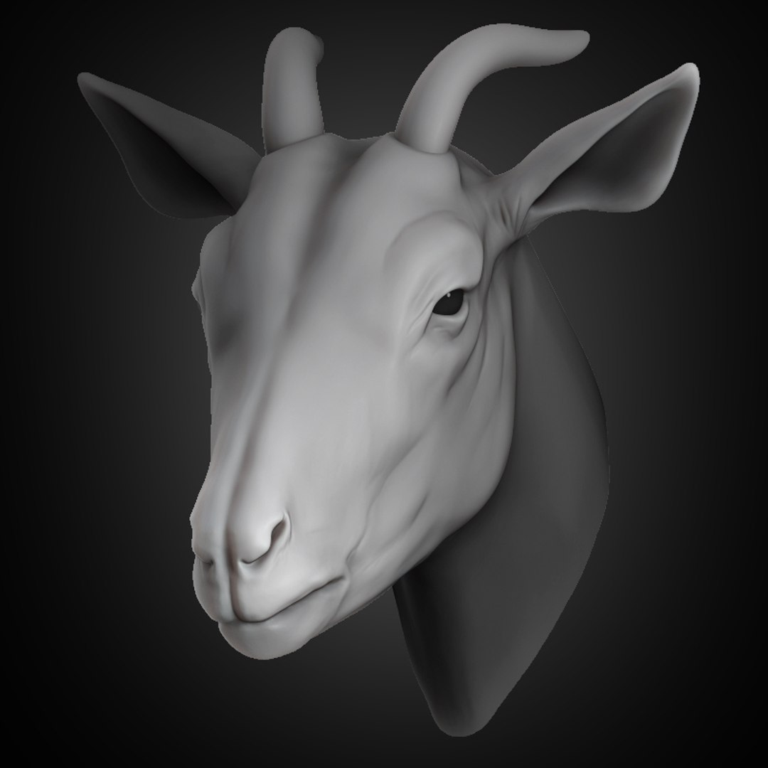 Goat Head 3D Model - TurboSquid 1680004