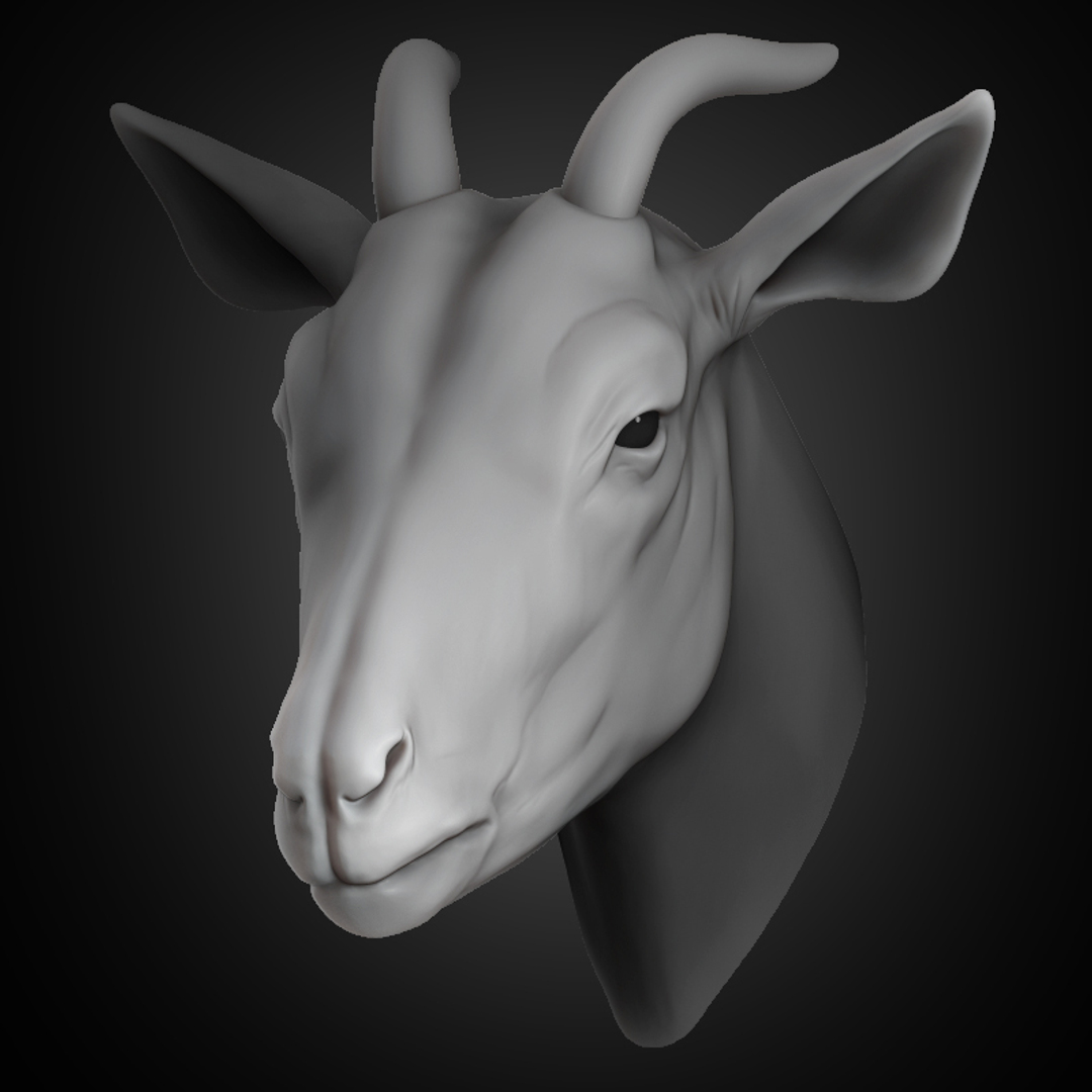 Goat head 3D model - TurboSquid 1680004
