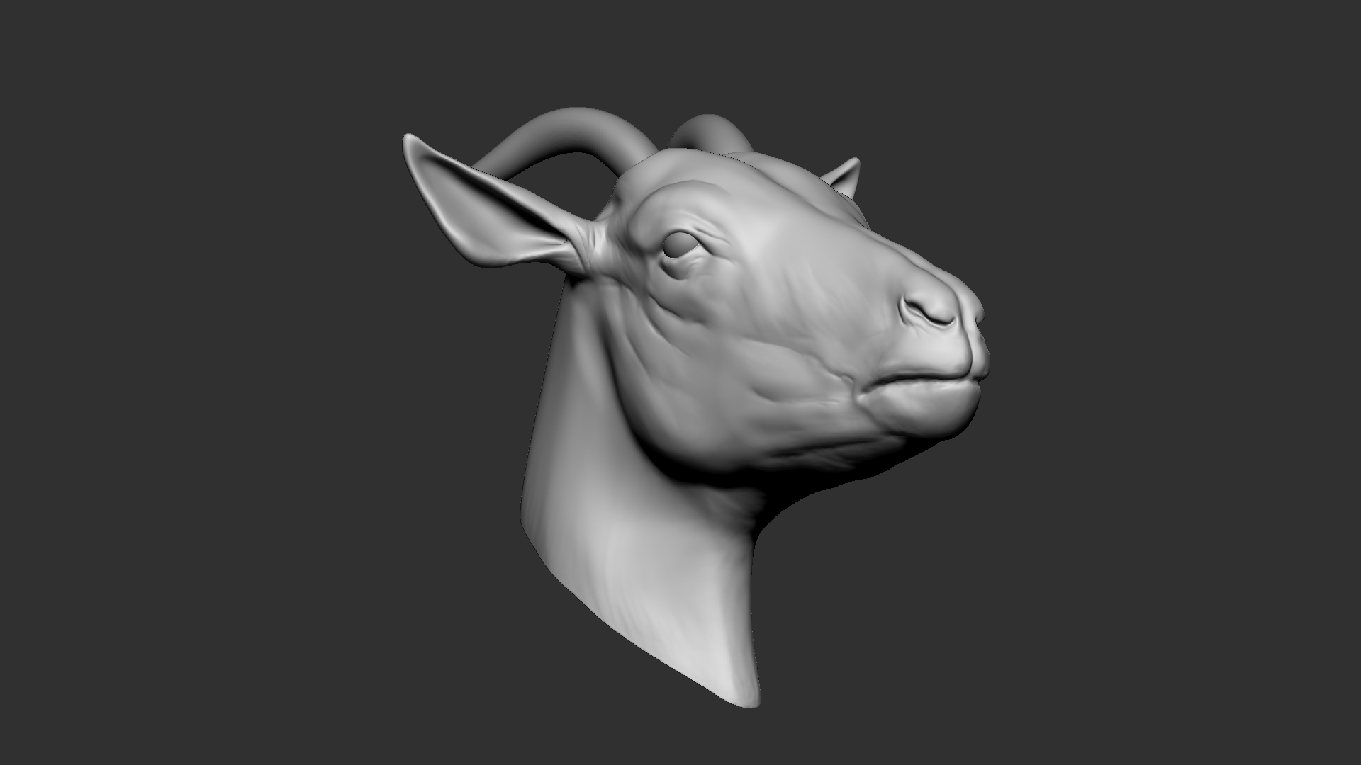 Goat head 3D model - TurboSquid 1680004