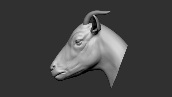 Goat head 3D model - TurboSquid 1680004