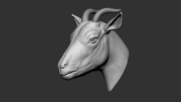 Goat head 3D model - TurboSquid 1680004