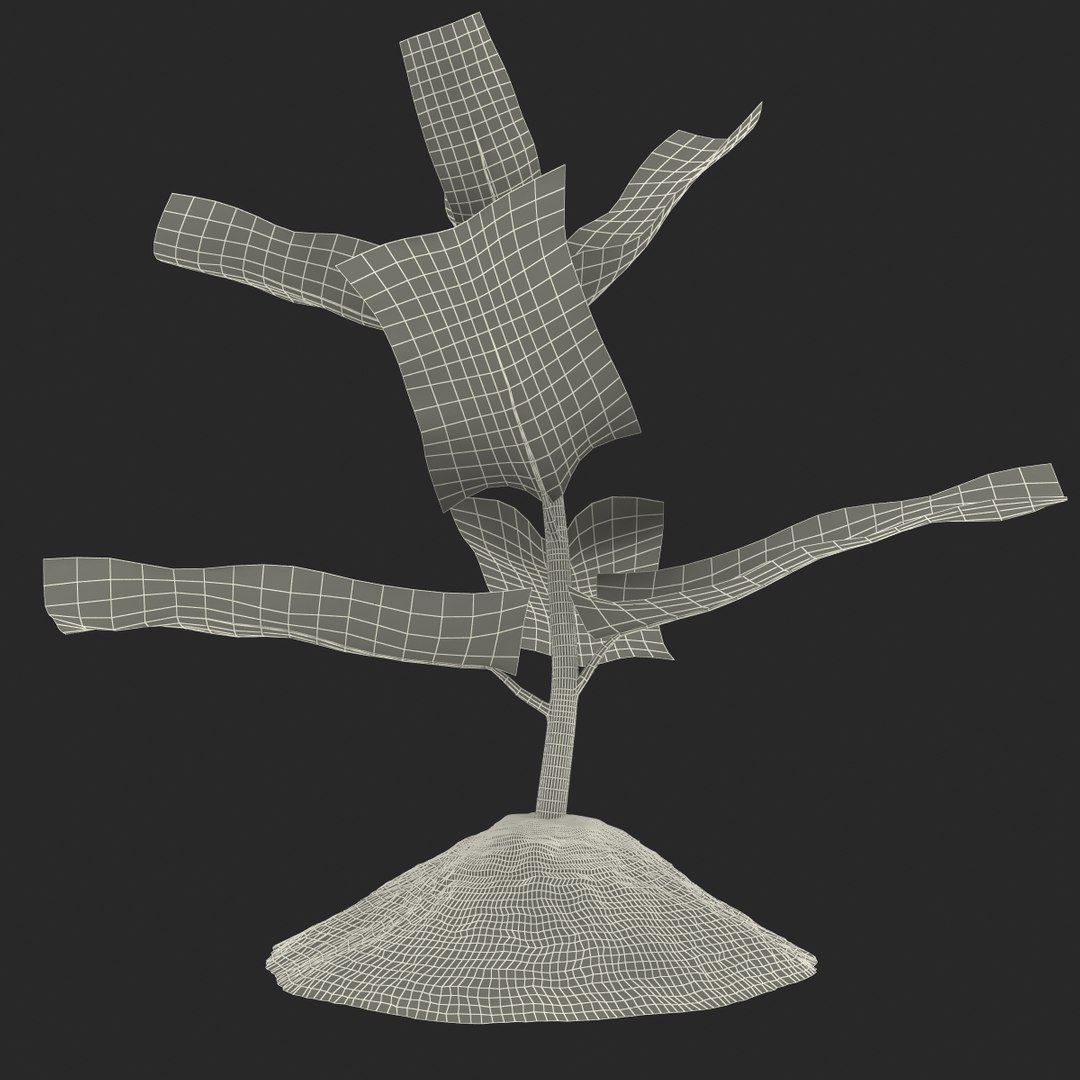 Plant Sprout Obj