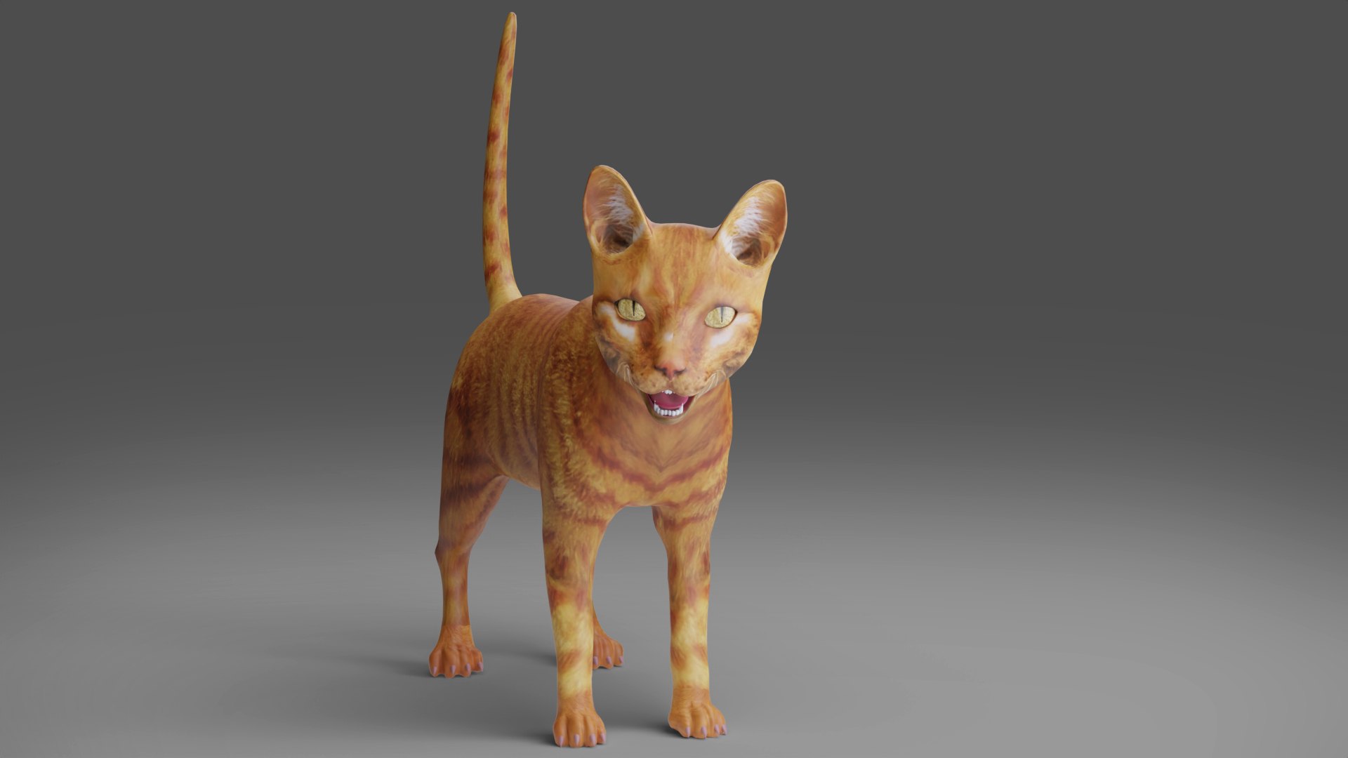 Cat Yellow V3 Rigged And Animated Model - TurboSquid 1982453