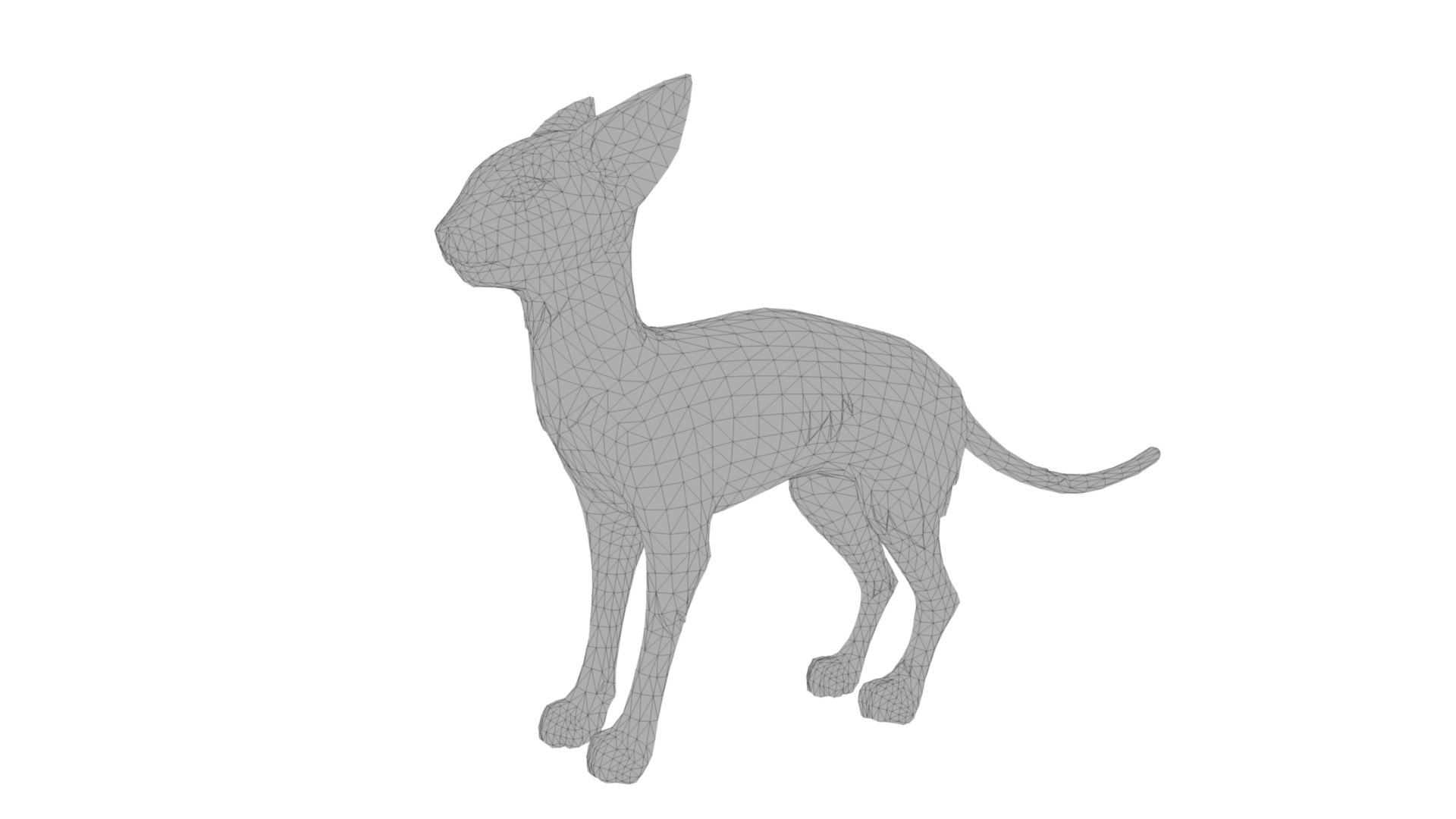 Cartoon Cat Model - TurboSquid 1953403