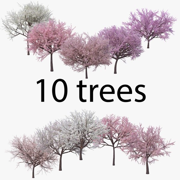 cherry tree 3d c4d
