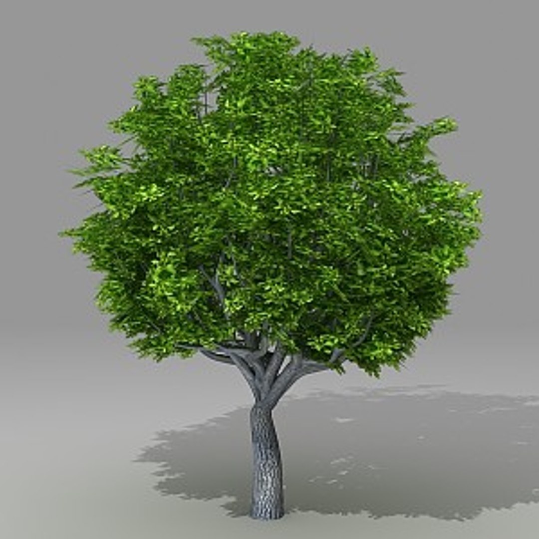 Tree 3d Max