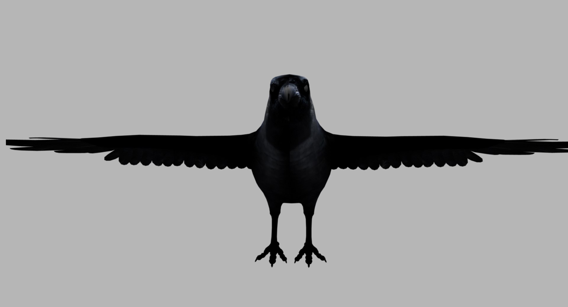 3D Model Crow - TurboSquid 1480523