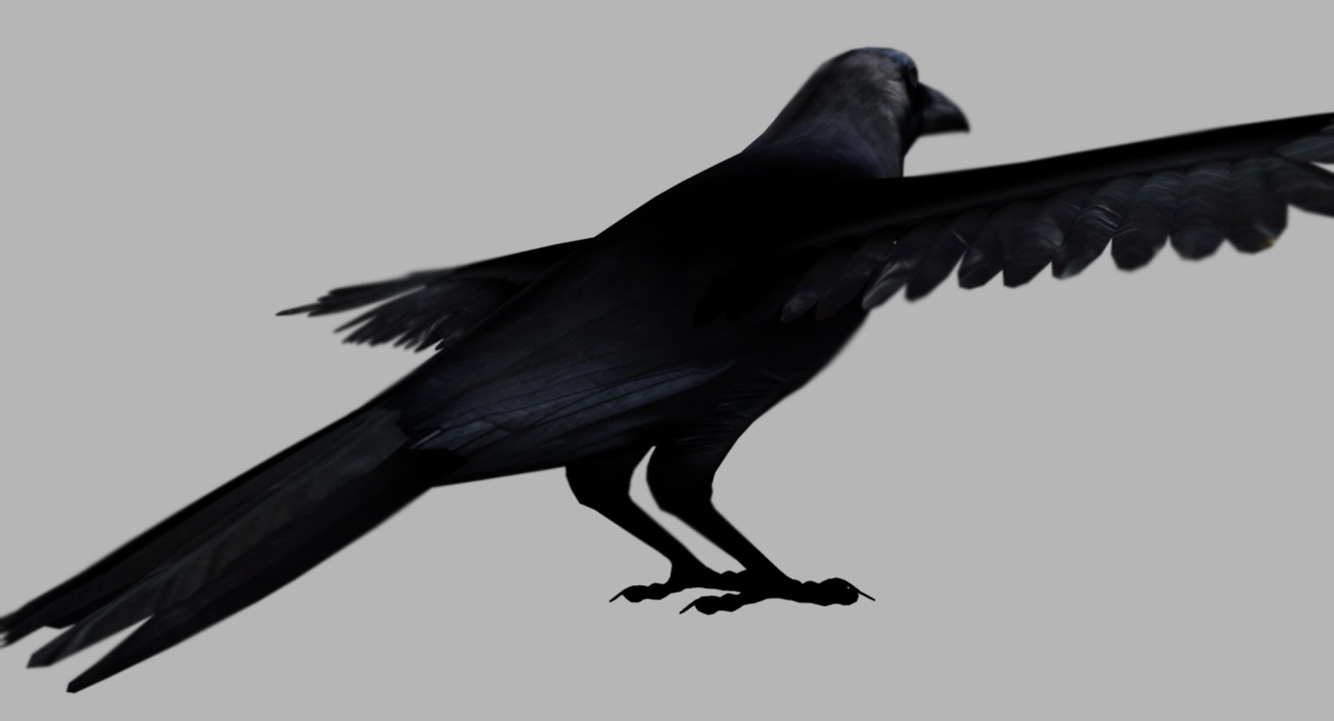 3D Model Crow - TurboSquid 1480523
