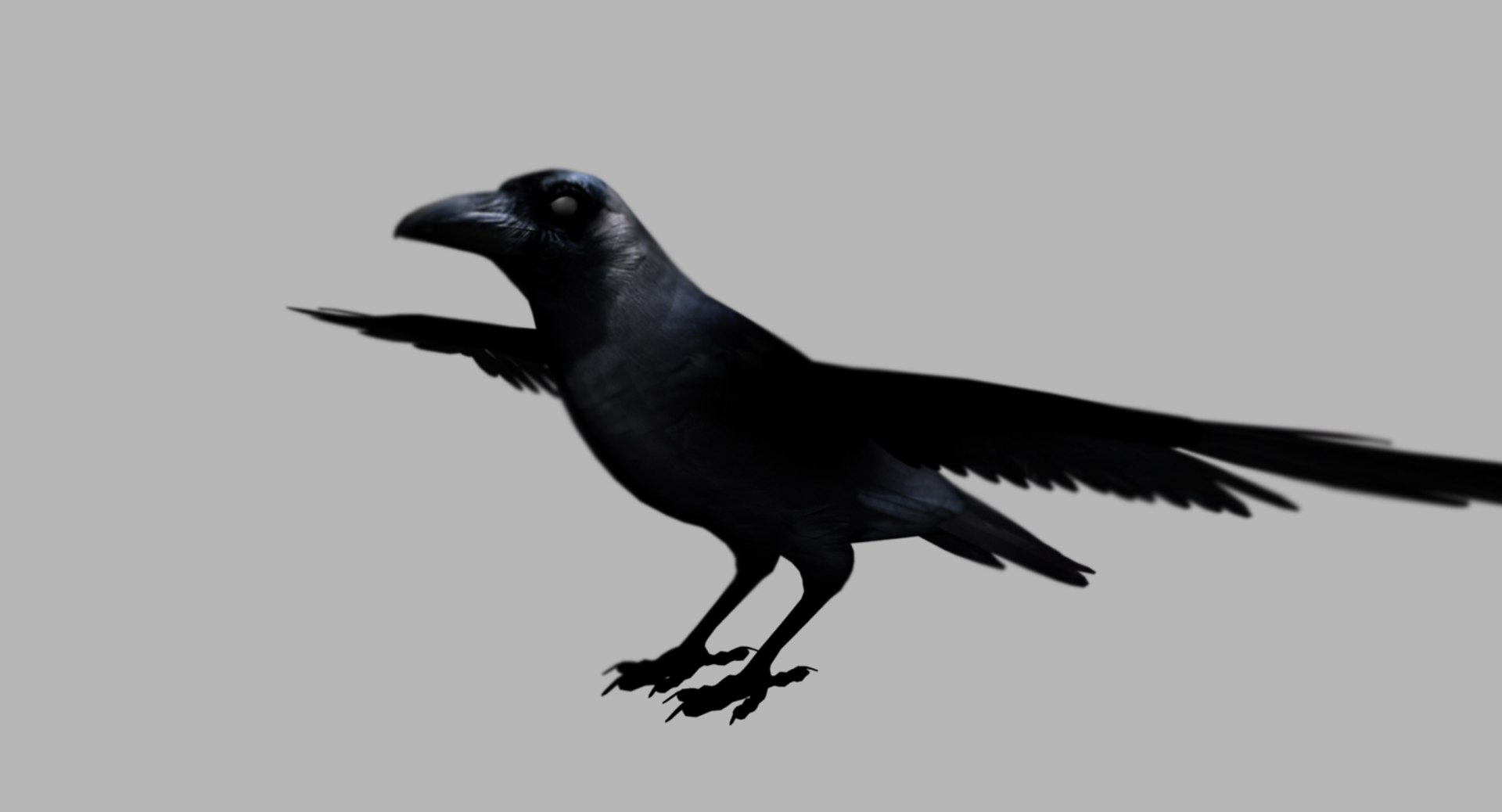 3D Model Crow - TurboSquid 1480523