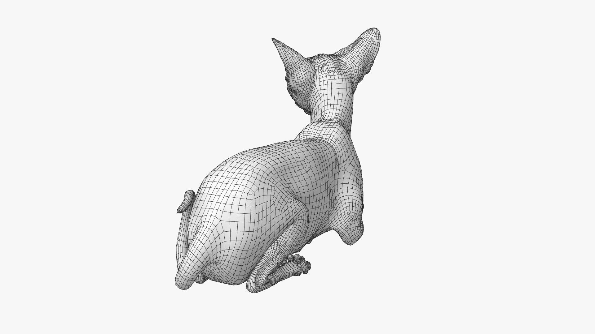3D Sphynx Cat Lying Model - TurboSquid 1666400