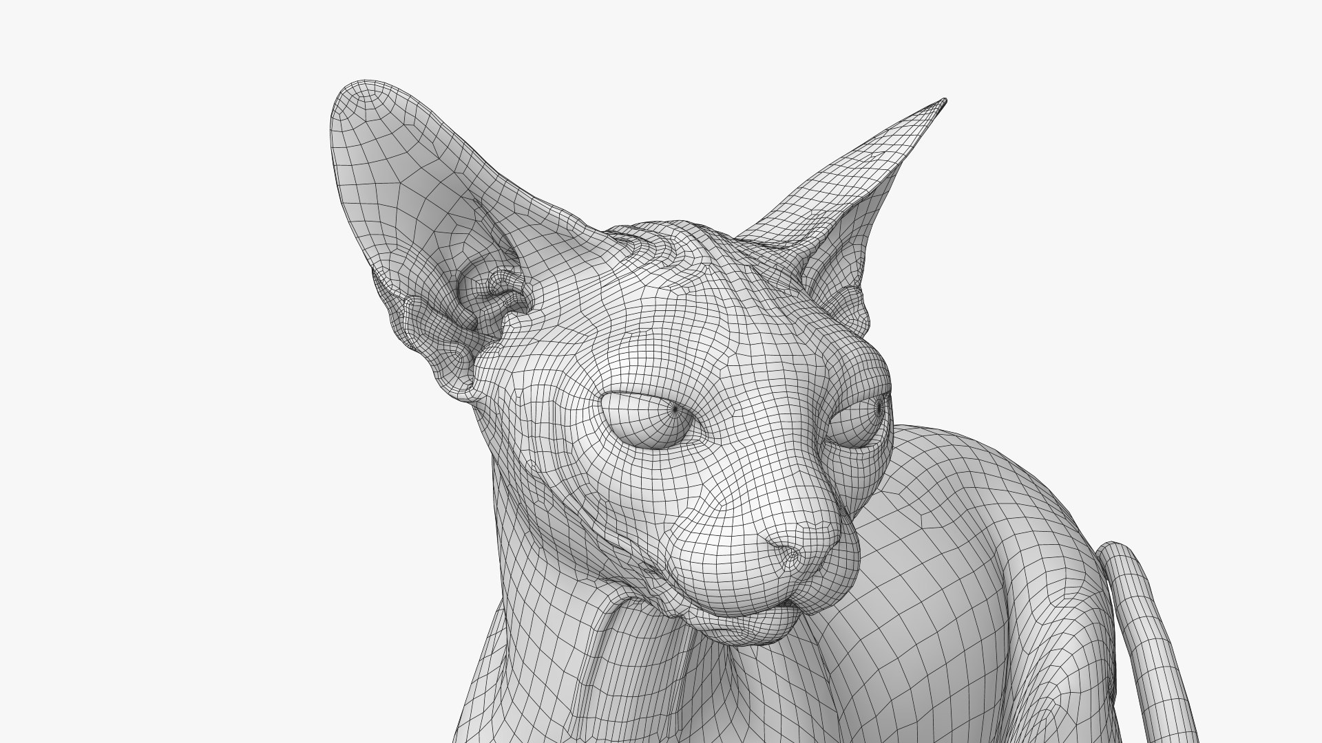 3D Sphynx Cat Lying Model - TurboSquid 1666400