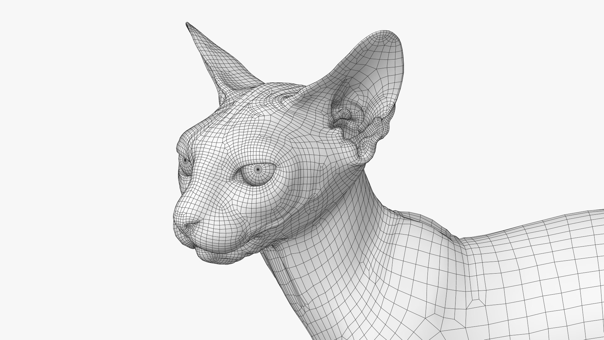 3D Sphynx Cat Lying Model - TurboSquid 1666400